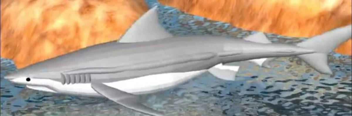 Sharks | FunVideoTV Wiki | Fandom
