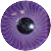 1998 Eye Chips | Furby Community Wiki | Fandom