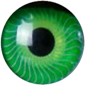 1998 Eye Chips | Furby Community Wiki | Fandom