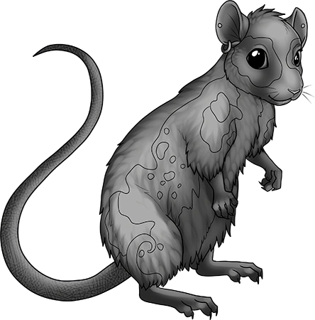 Squeeken | Furcadia Wiki | Fandom
