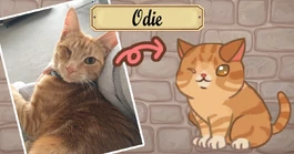 Odie | Furistas Cat Cafe Wiki | Fandom
