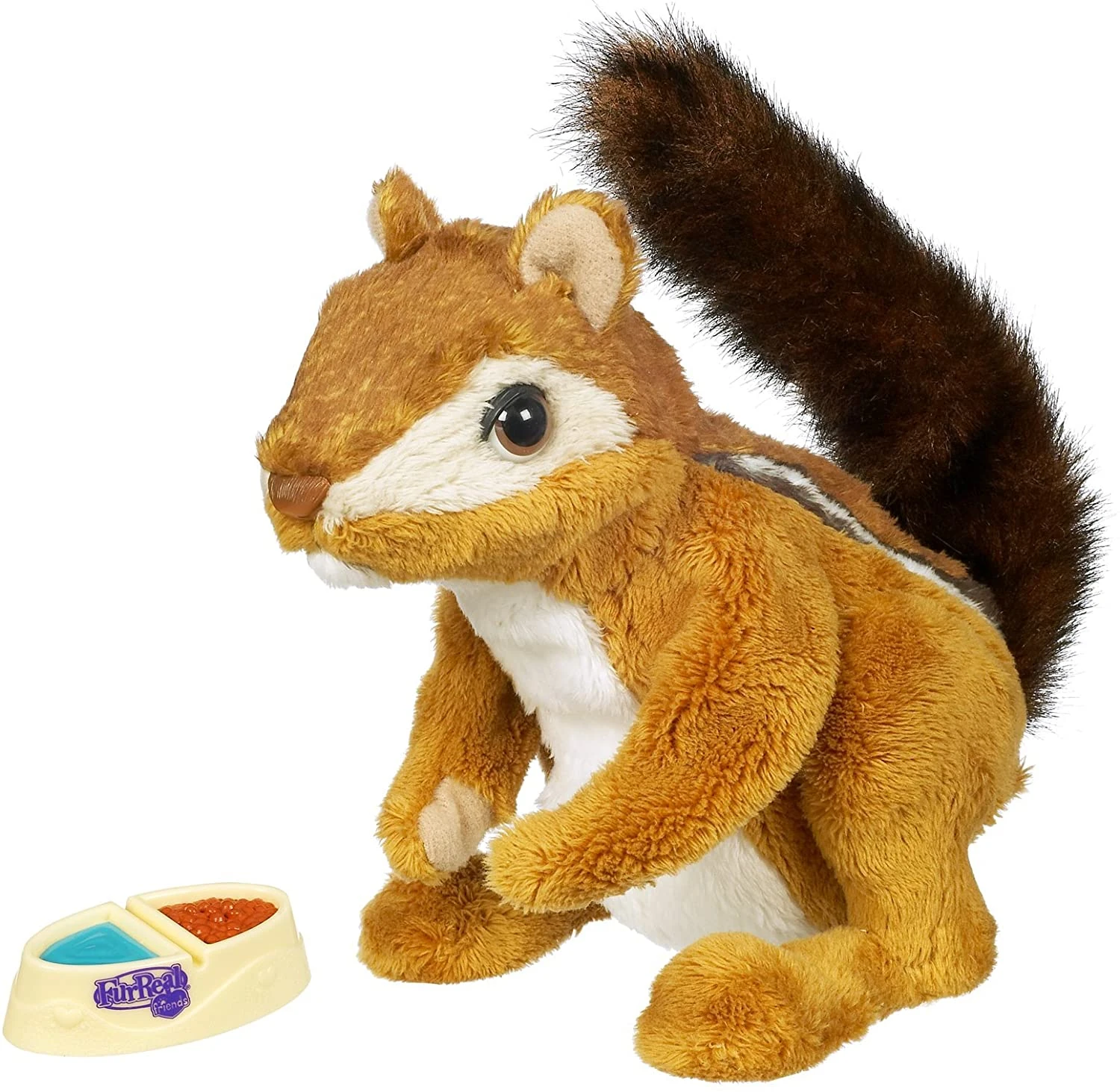 Newborn Baby Chipmunk