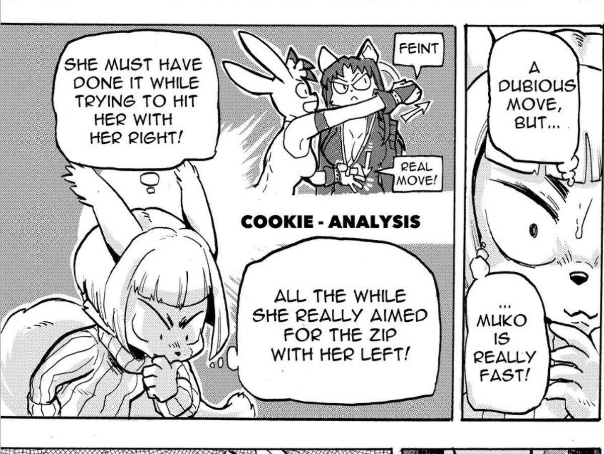 Feint | Furry Fight Chronicles Wiki | Fandom