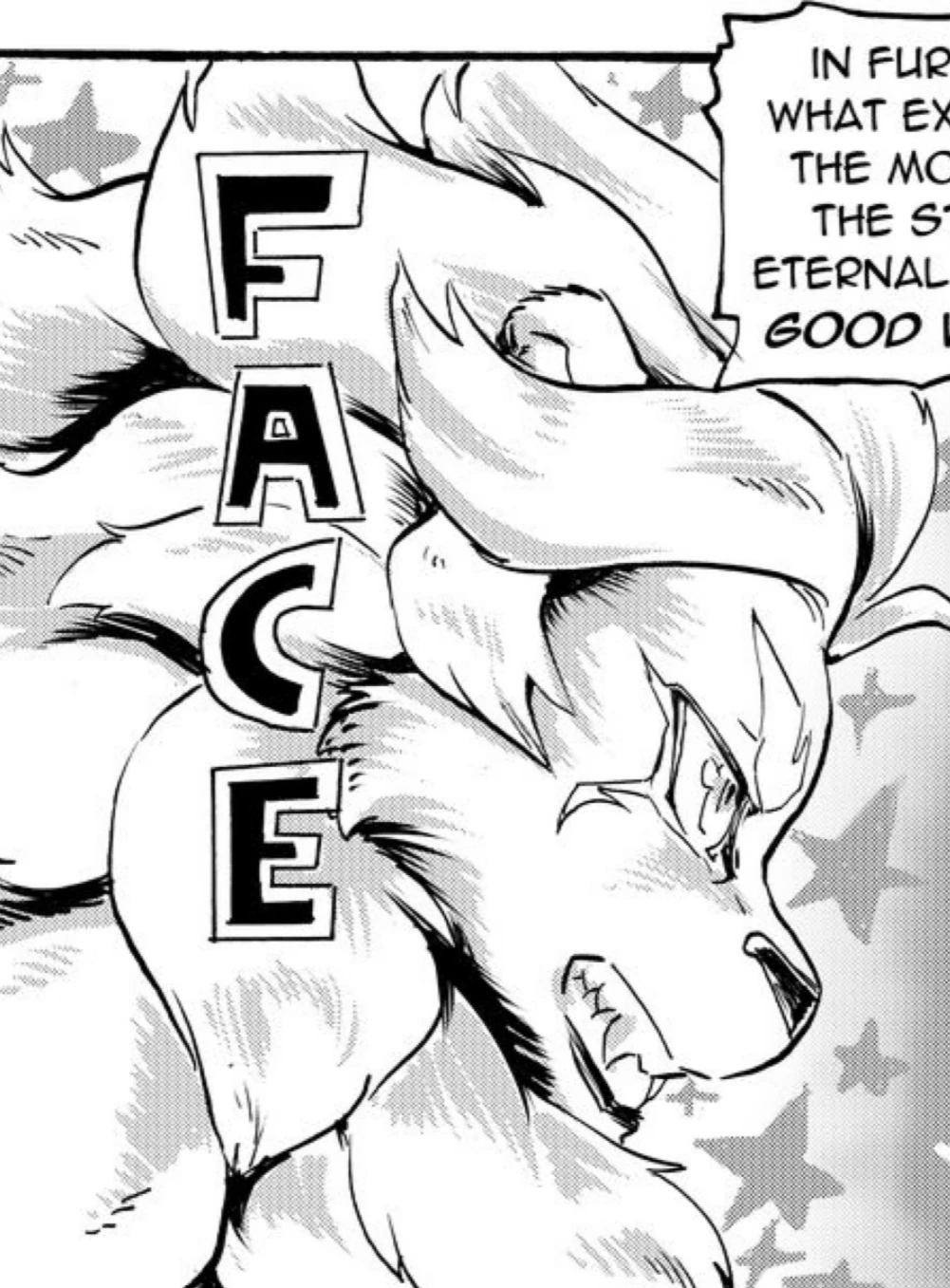 Face | Furry Fight Chronicles Wiki | Fandom