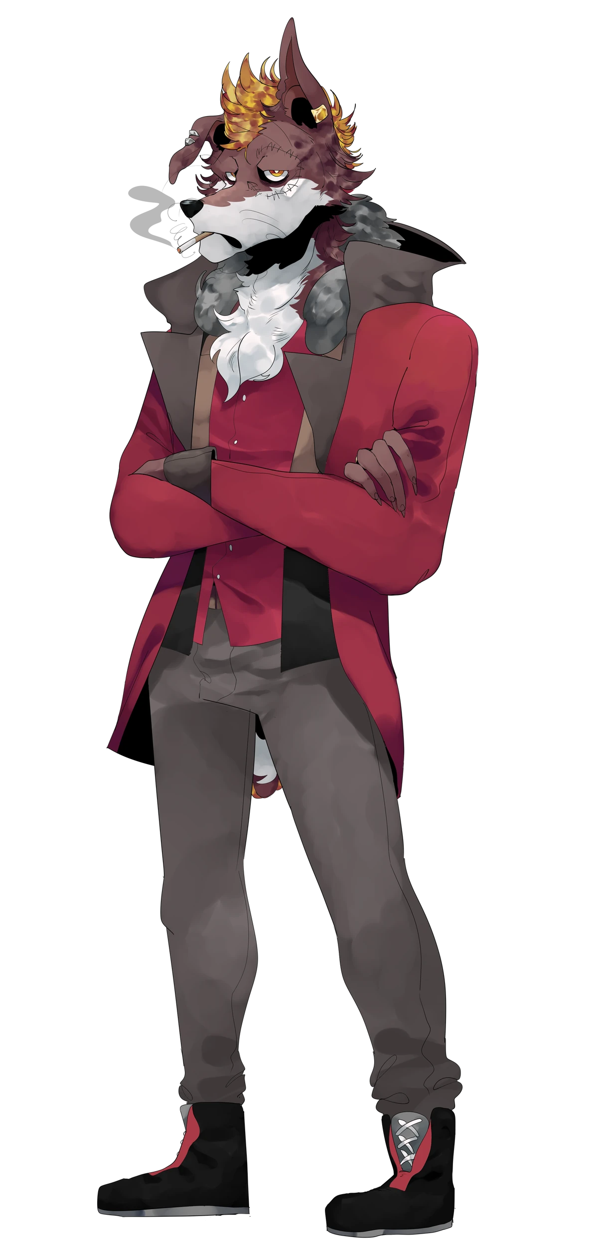 Kurosawa Aki | Furry Synth Wiki | Fandom