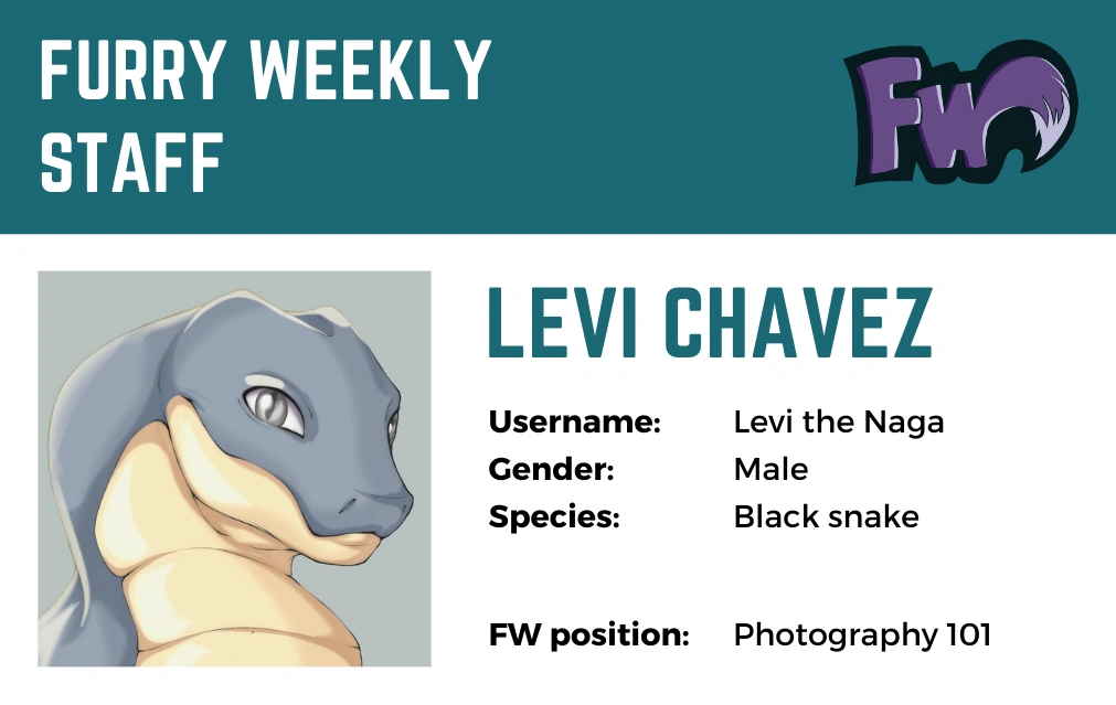 Levi | Furry Weekly Wiki | Fandom