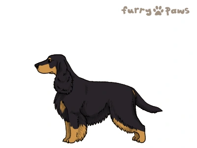 English Cocker Spaniel | Furry-Paws Wiki | Fandom