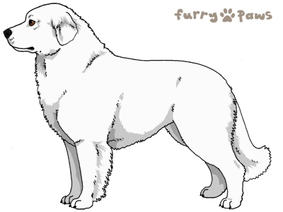 Great Pyrenees | Furry-Paws Wiki | Fandom