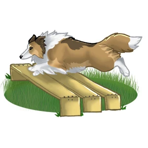 Agility (sport) | Furry-Paws Wiki | Fandom
