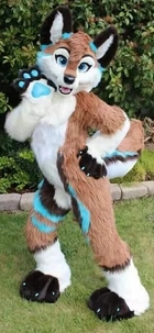 Fox Fursuit | Furry Wiki | Fandom