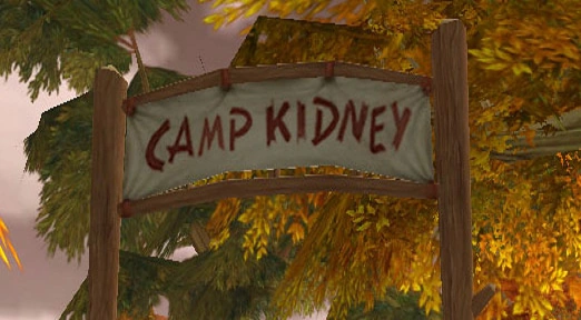 Camp Kidney | FusionFall Wiki | Fandom