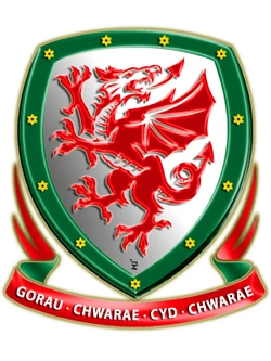 FC Dragons | Fútbol Fanon Wiki | Fandom