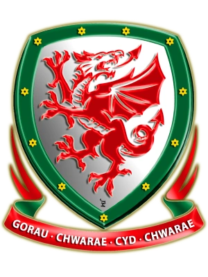 FC Dragons | Fútbol Fanon Wiki | Fandom