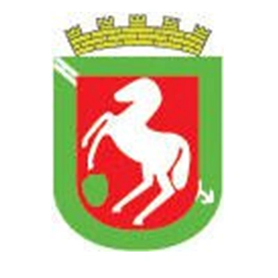 Club Deportivo Municipal Limache | Wiki Futbolchileno | Fandom