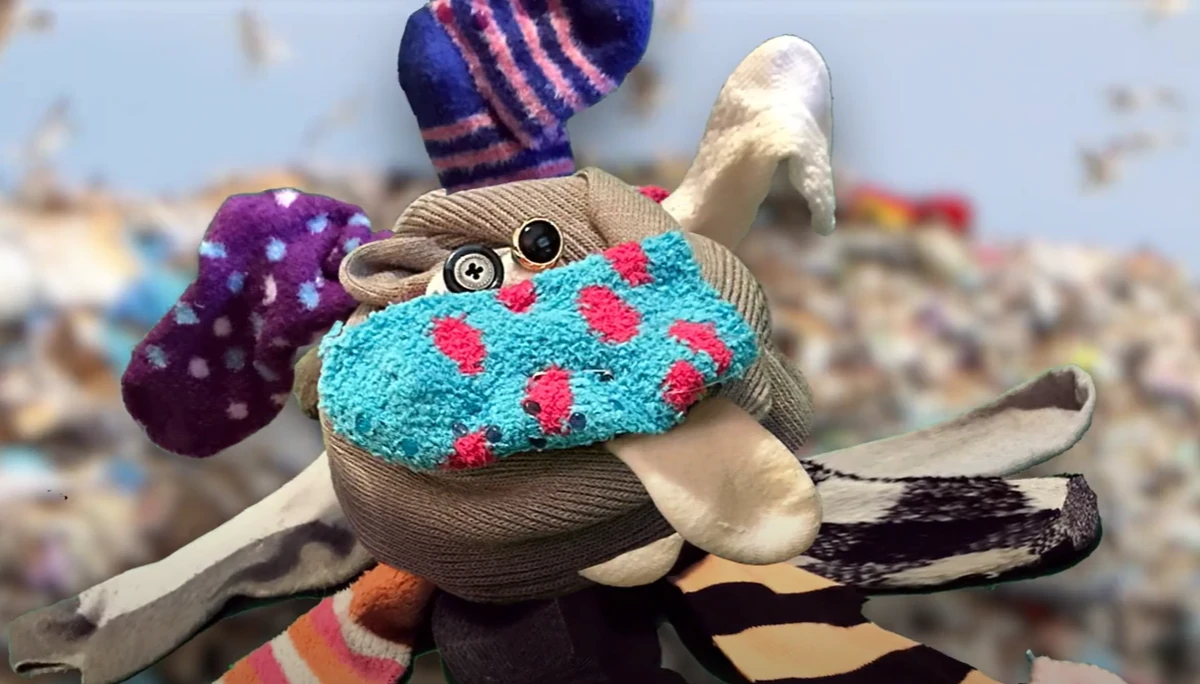 Socktopus (Character) | Future Chicken Wiki | Fandom