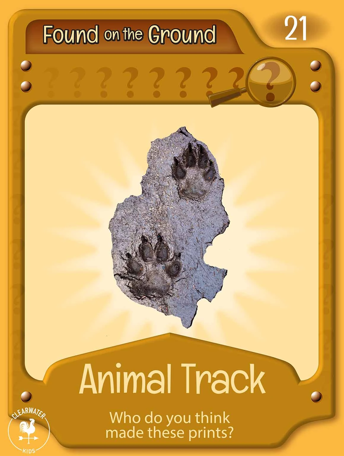 Animal Track | Future Chicken Wiki | Fandom