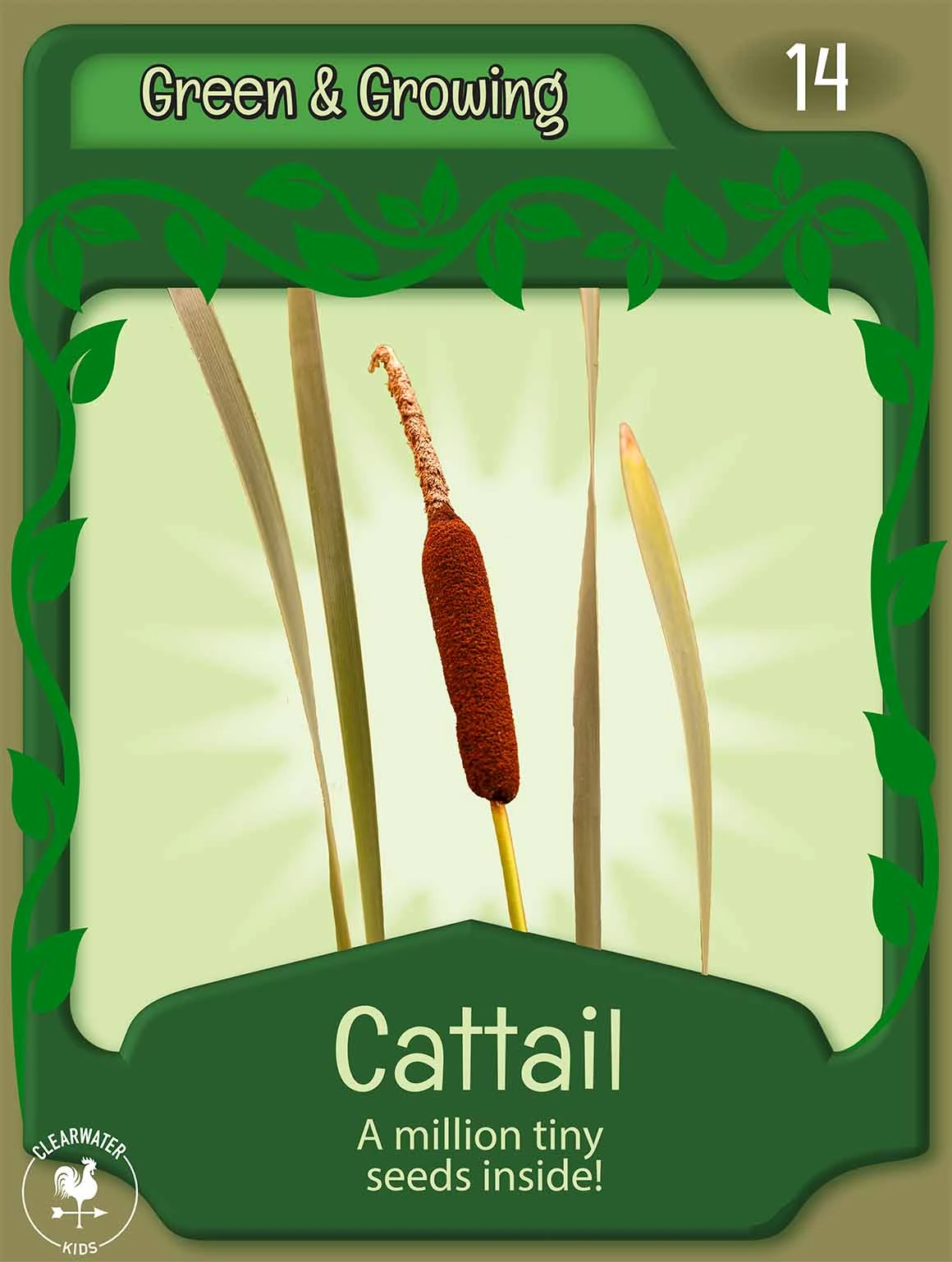 Cattail | Future Chicken Wiki | Fandom