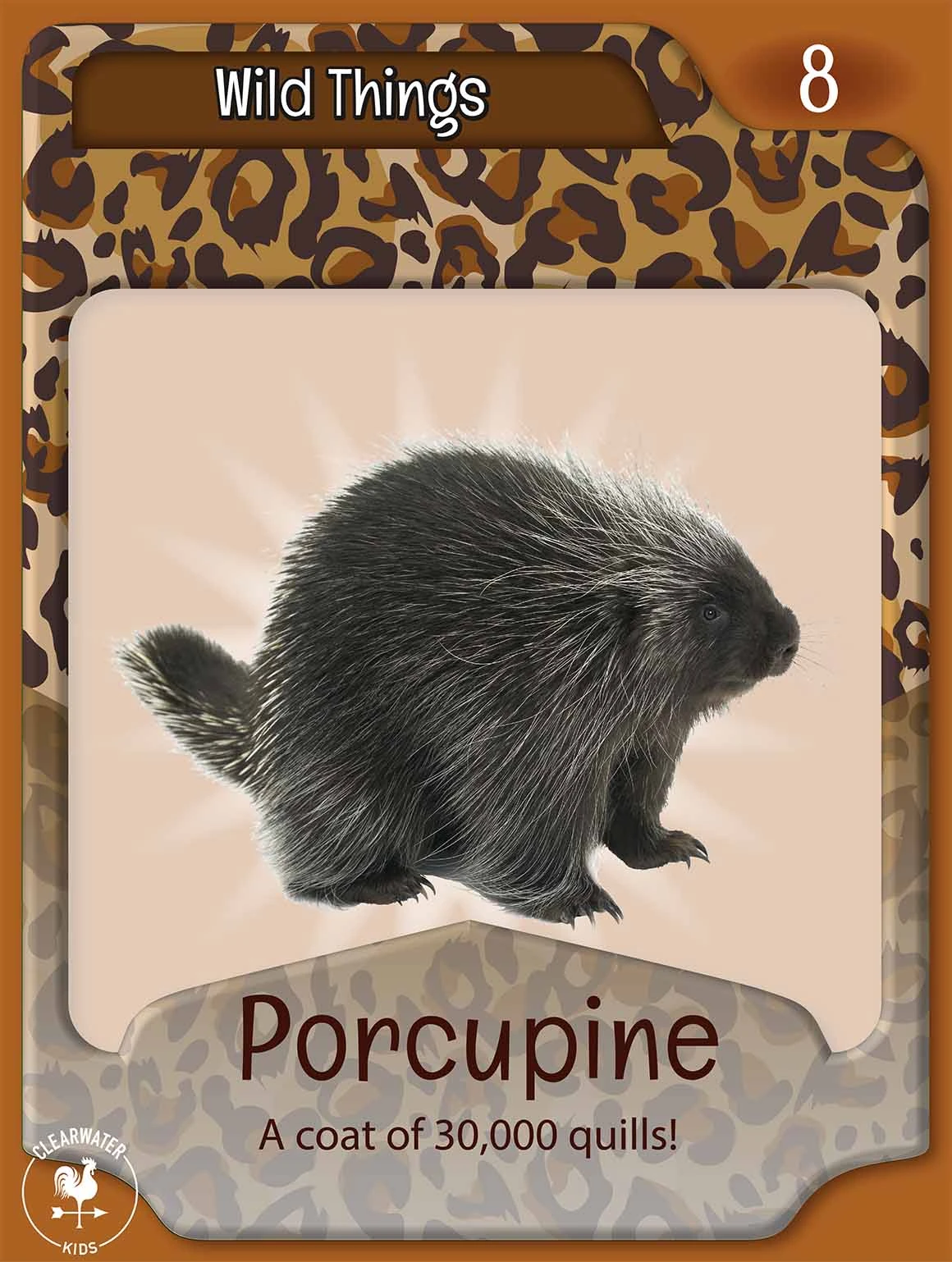 Porcupine | Future Chicken Wiki | Fandom