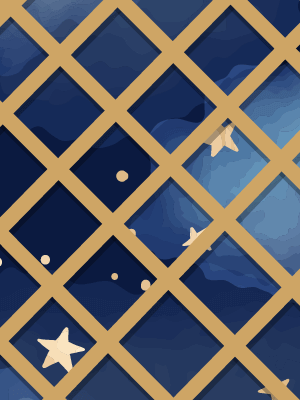 Starry Night Wall | Future Chicken Wiki | Fandom