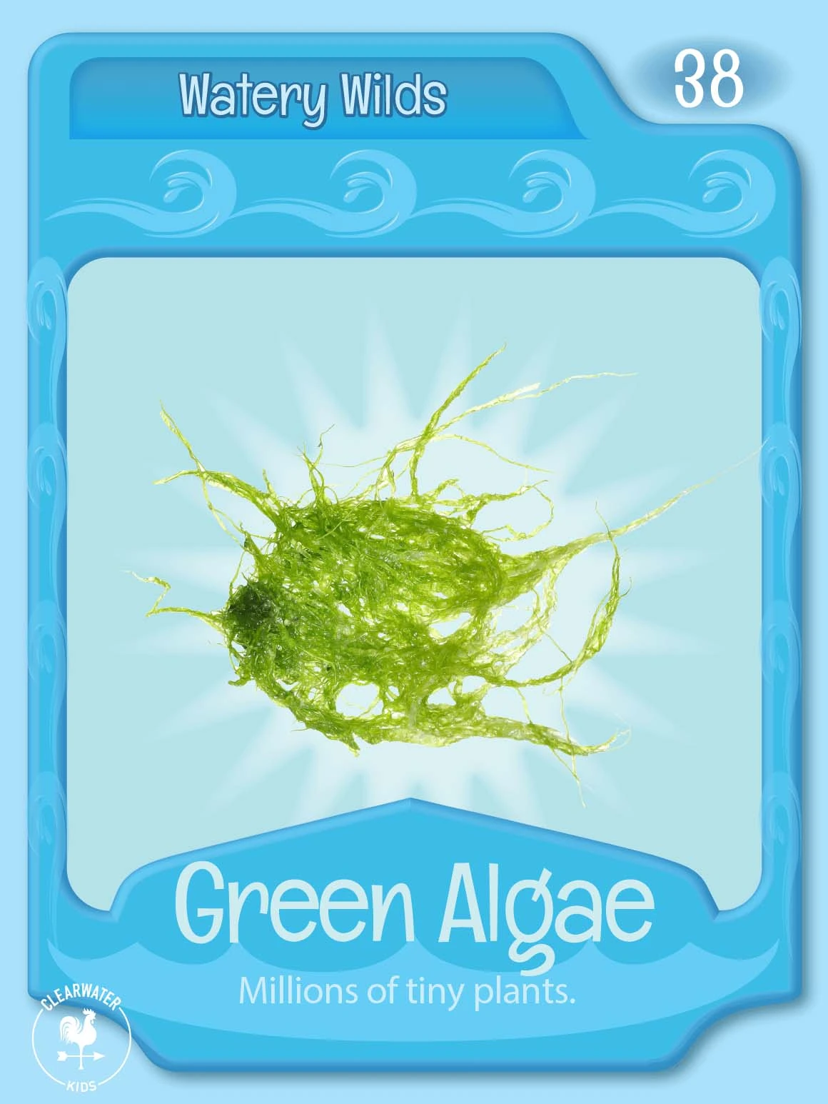 Category:Watery Wilds cards | Future Chicken Wiki | Fandom