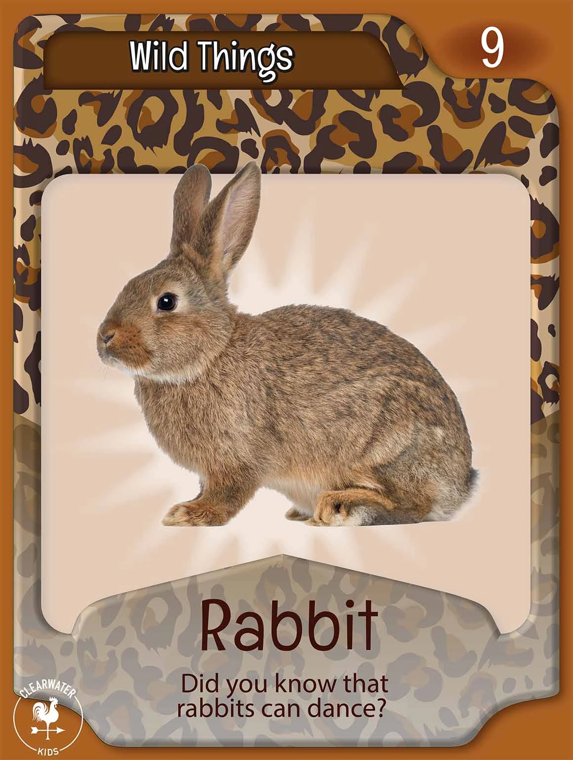 Rabbit | Future Chicken Wiki | Fandom