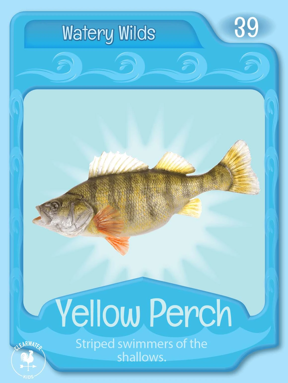 Yellow Perch | Future Chicken Wiki | Fandom