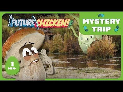 The Secret of Swamps | Future Chicken Wiki | Fandom
