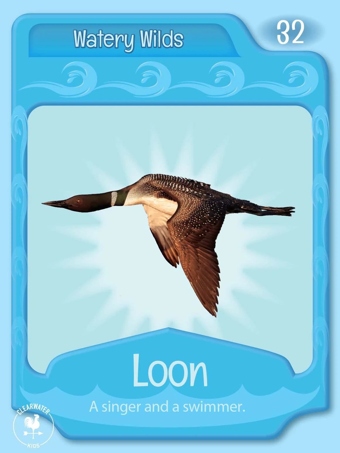 Loon | Future Chicken Wiki | Fandom