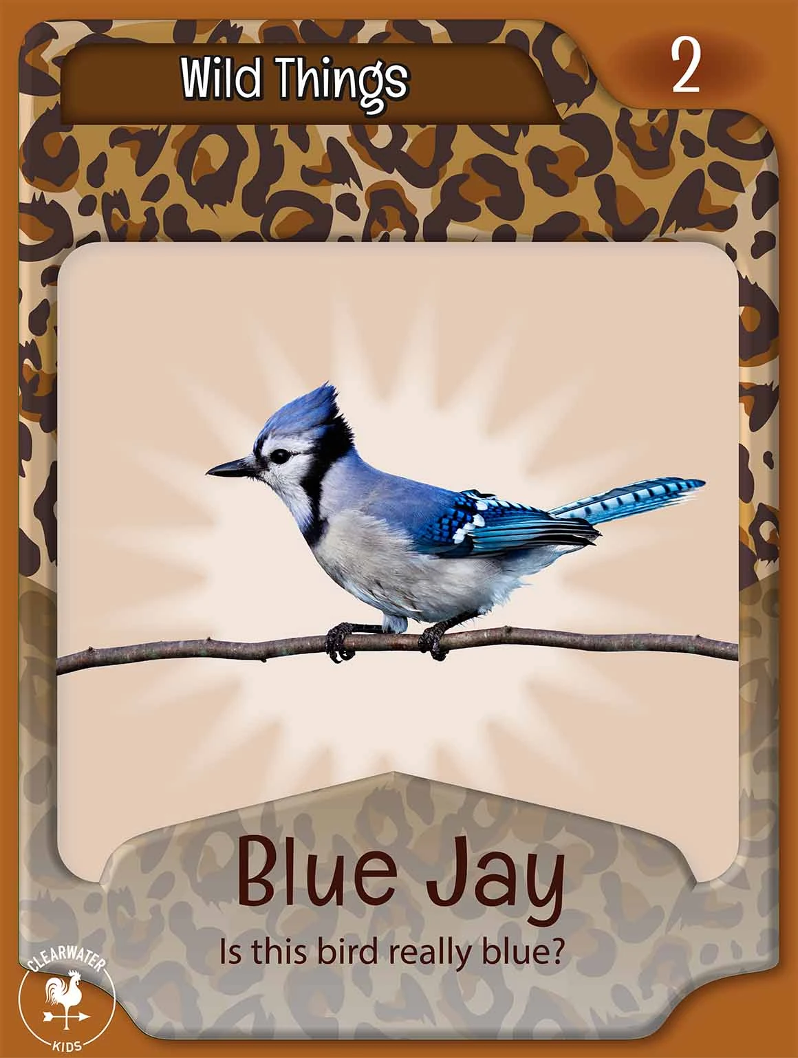 Blue Jay | Future Chicken Wiki | Fandom