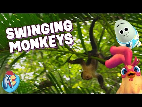 CUTEST monkeys ever! | Future Chicken Wiki | Fandom