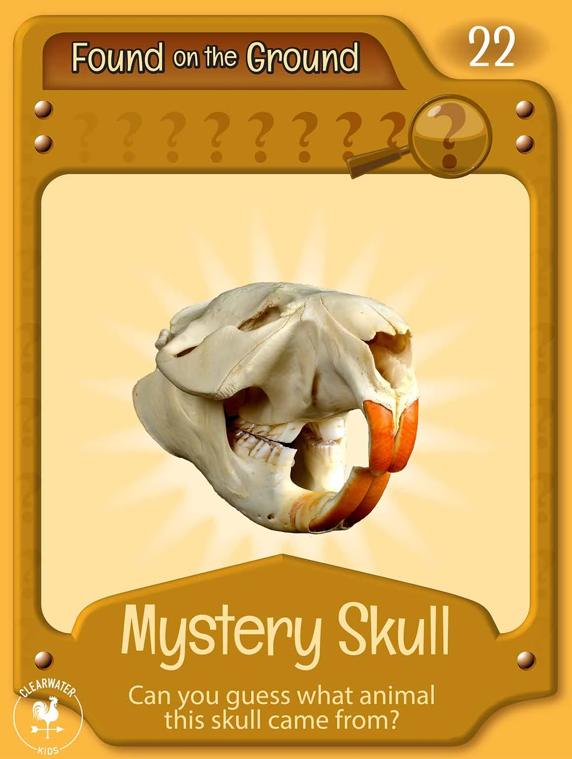 Mystery Skull | Future Chicken Wiki | Fandom