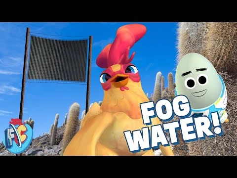 How to Collect Water From Fog! | Future Chicken Wiki | Fandom