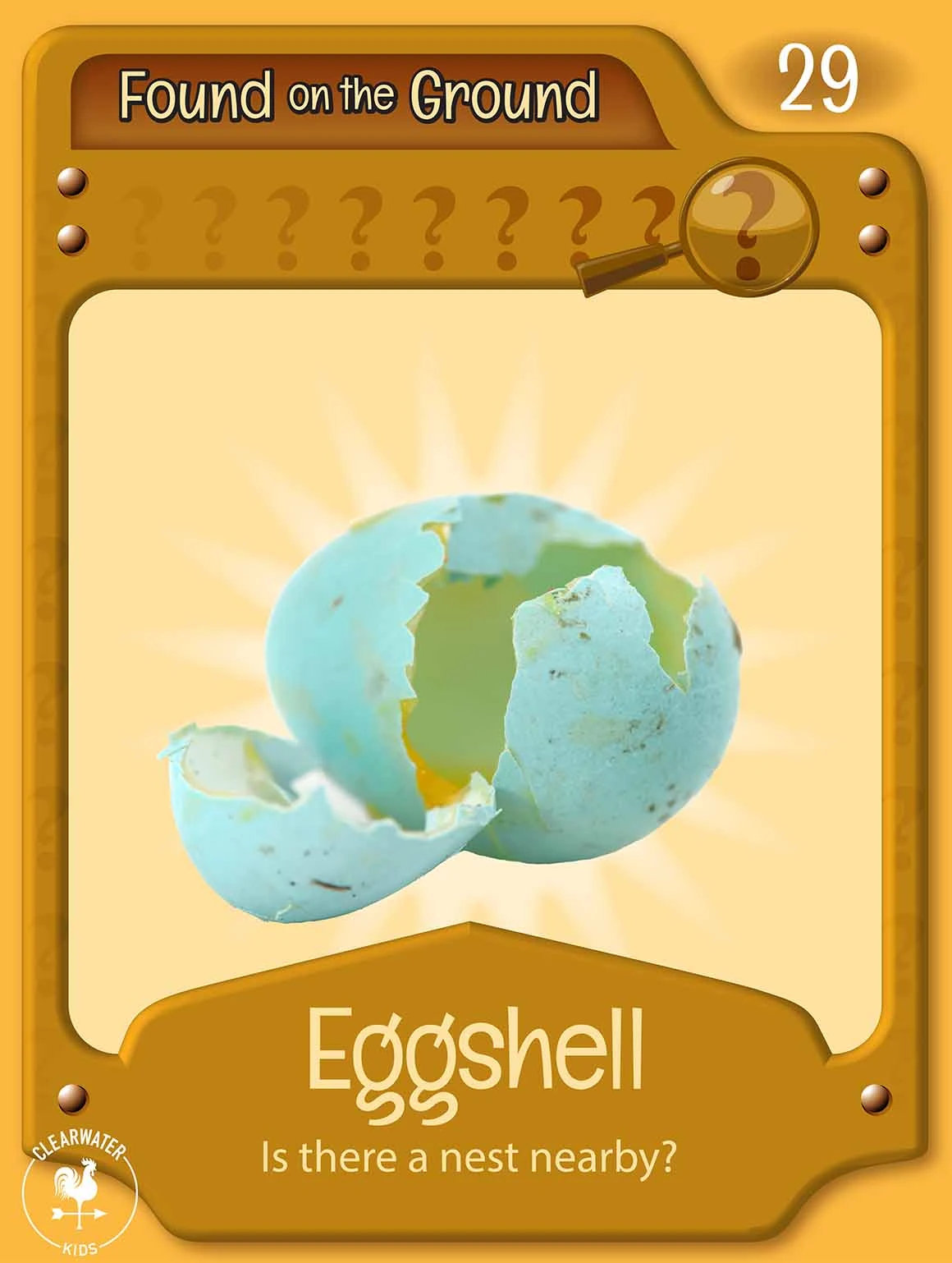 Eggshell | Future Chicken Wiki | Fandom