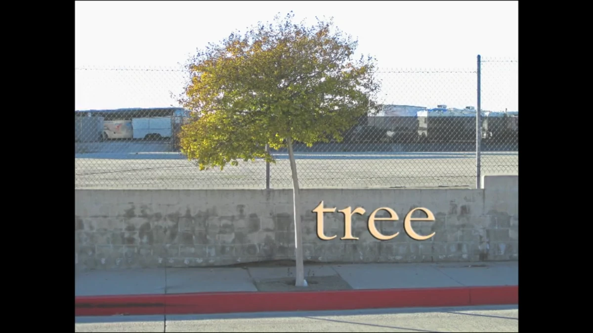 Tree Productions | Future Ideas Wiki | Fandom