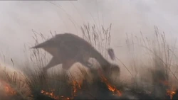 Carakiller | The Future Is Wild Wiki | Fandom