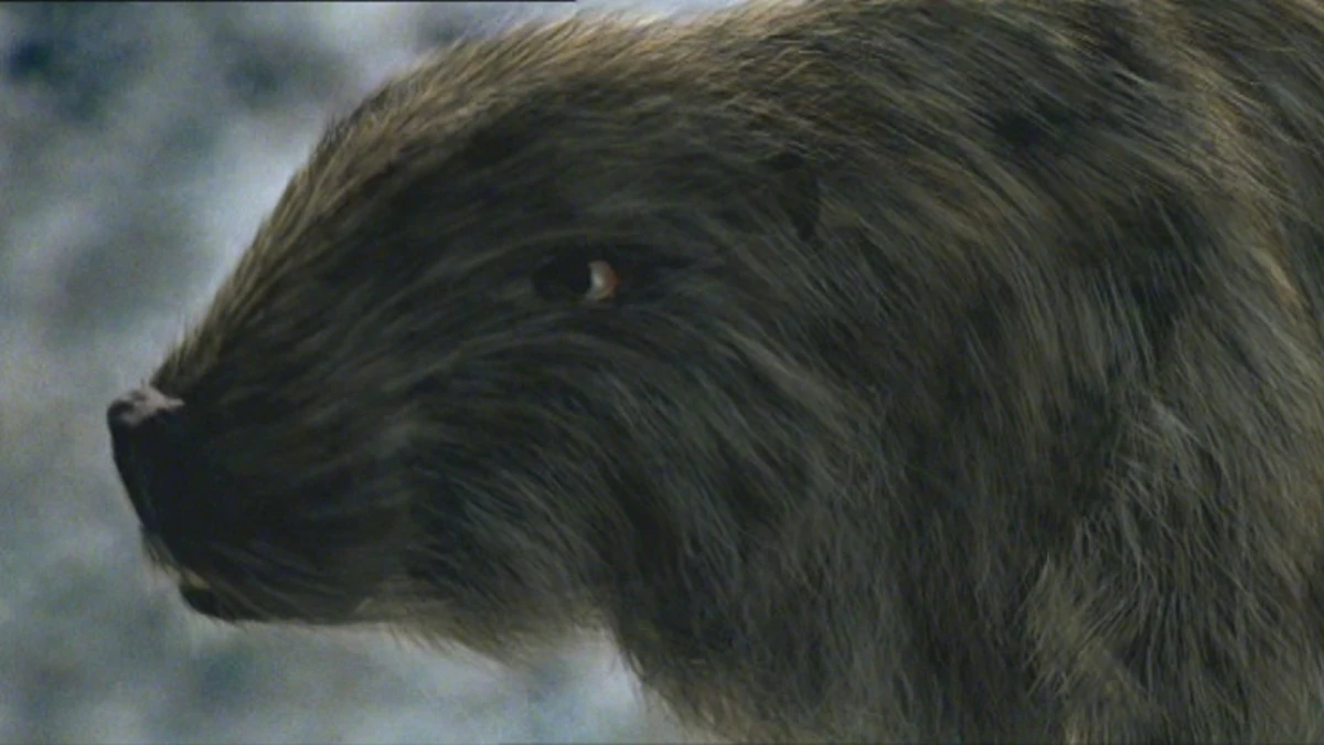 Shagrat | The Future Is Wild Wiki | Fandom