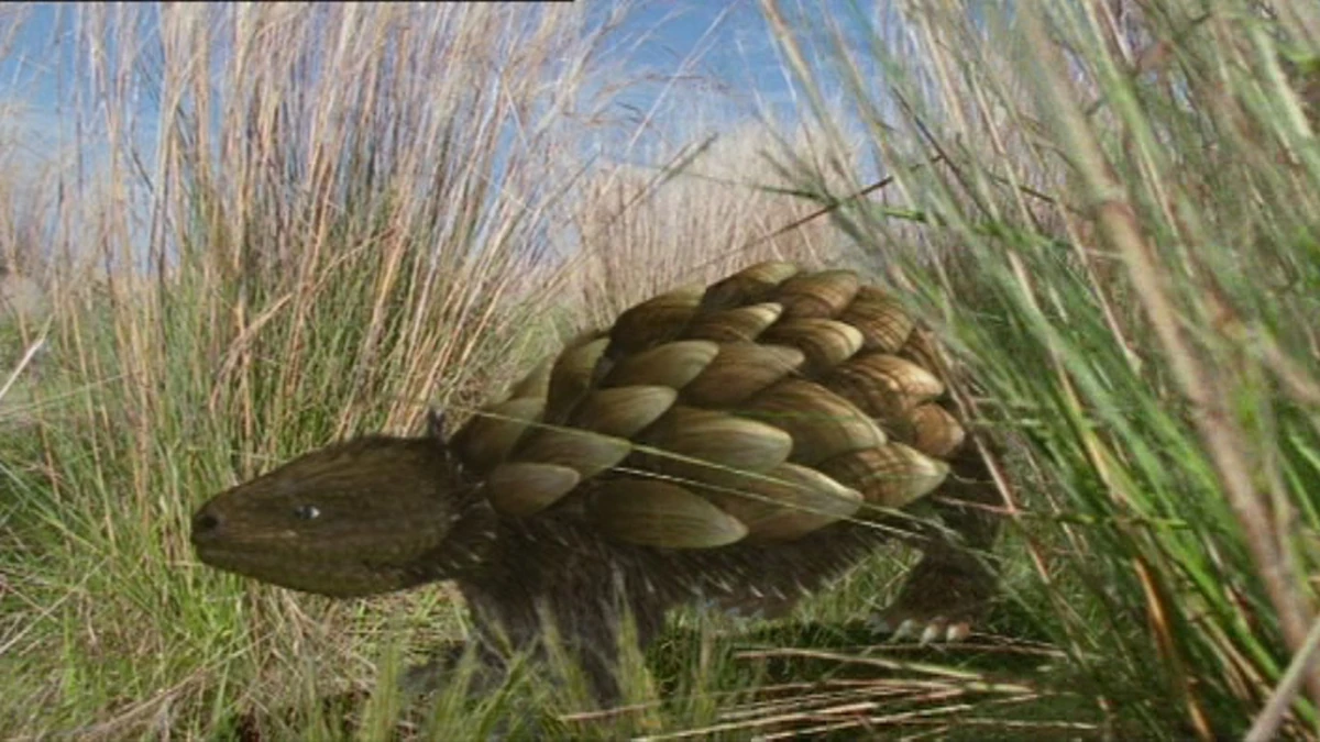 Rattleback | The Future Is Wild Wiki | Fandom