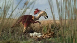 Rattleback | The Future Is Wild Wiki | Fandom