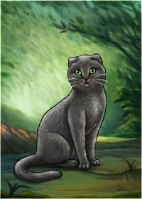 Nightcloud | Future Warrior Cats Wiki | Fandom