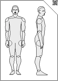 Androids (Falco) | Future | Fandom