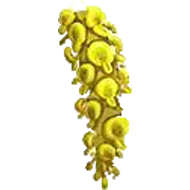 Golden Chain | FV2 Cheats Wiki | Fandom