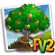 Elder Spanish Tamarind Tree | FV2 Cheats Wiki | Fandom
