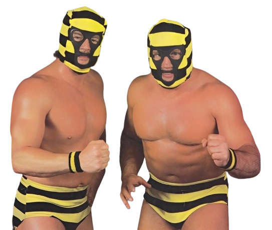 Killer Bees | Figgles Wrestling Federation - eFed Wiki | Fandom