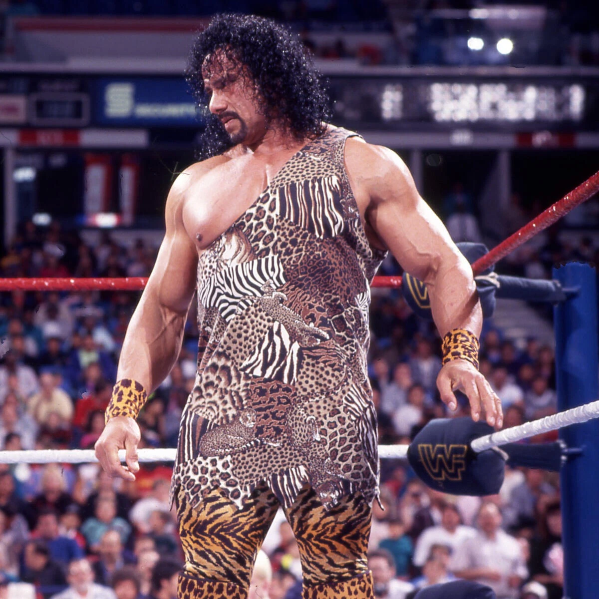 Jimmy Snuka | Figgles Wrestling Federation - eFed Wiki | Fandom