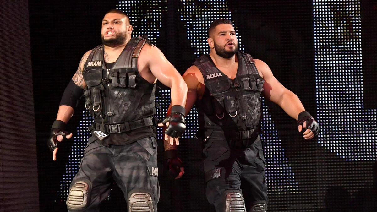 Authors of Pain | Figgles Wrestling Federation - eFed Wiki | Fandom