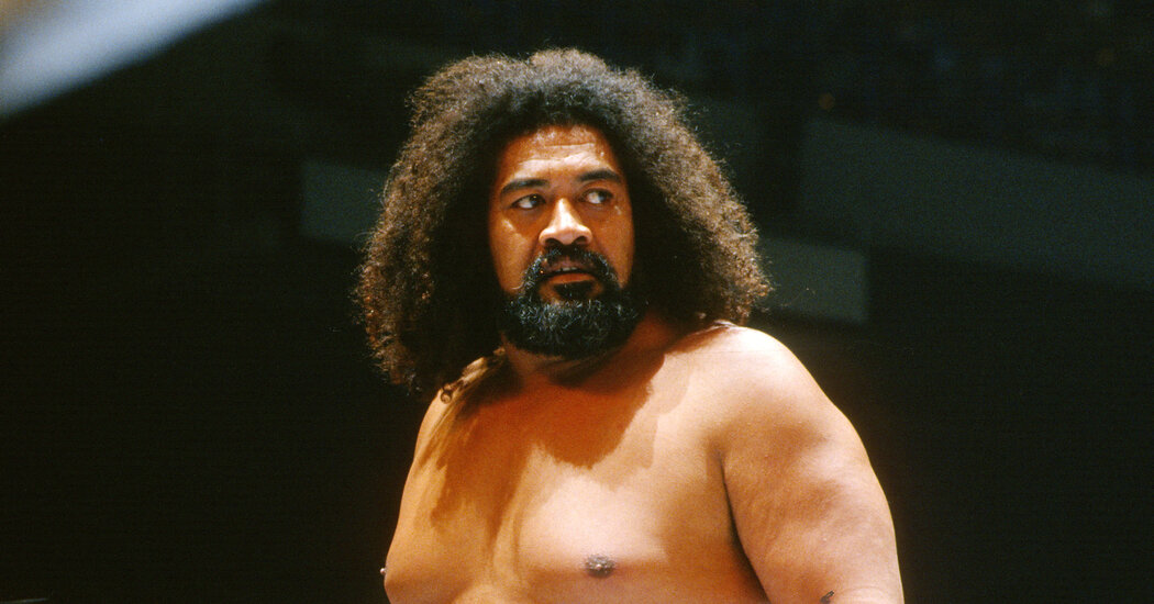 Sika | Figgles Wrestling Federation - eFed Wiki | Fandom