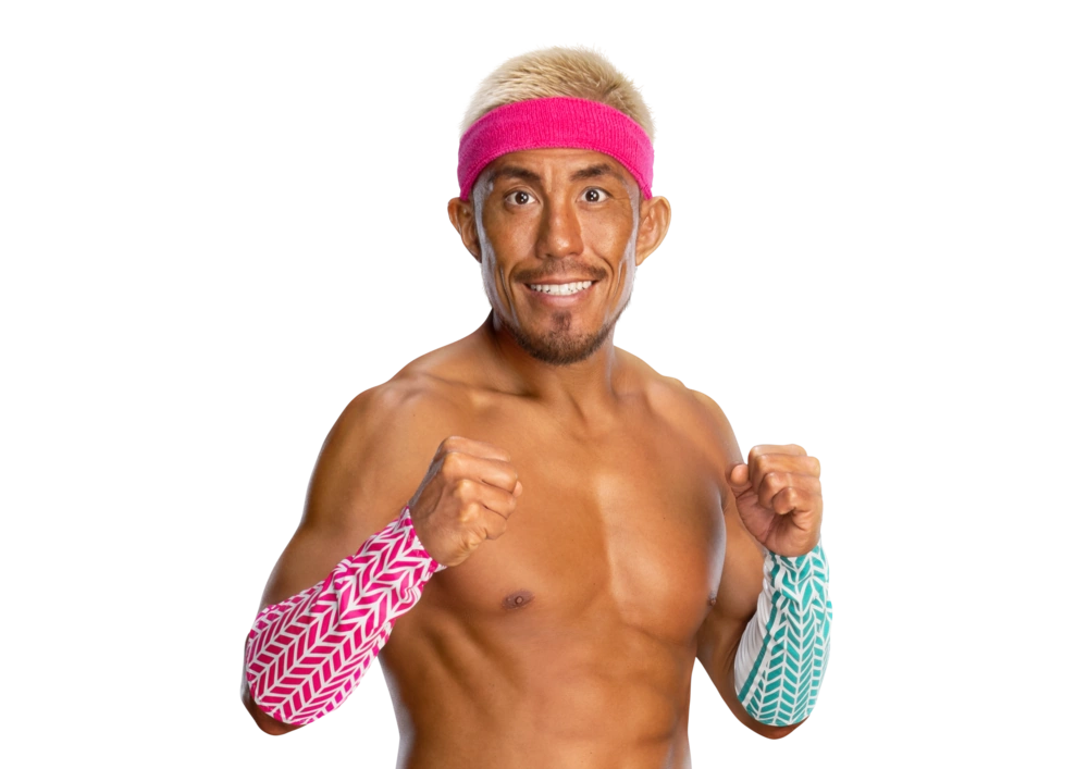 Akira Tozawa | Figgles Wrestling Federation - eFed Wiki | Fandom