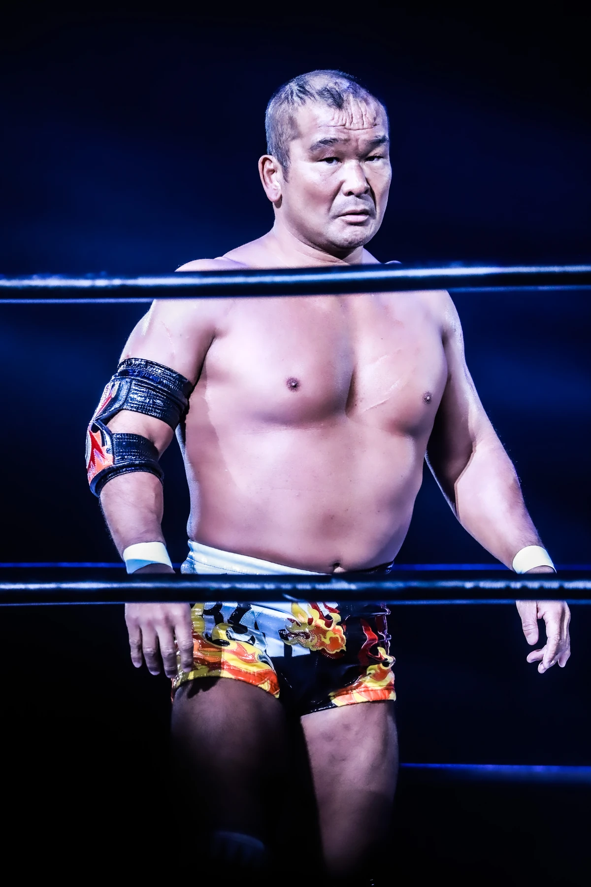 Masato Tanaka | Figgles Wrestling Federation - eFed Wiki | Fandom