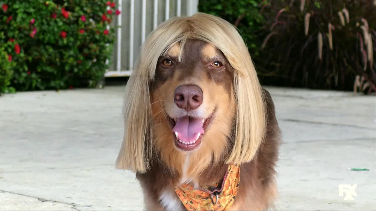 September 12, 2024 | FX Schedule Archive Wiki | Fandom