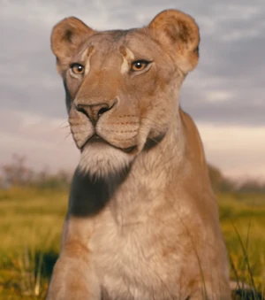 Raheema | G5 Adventures Wiki | Fandom